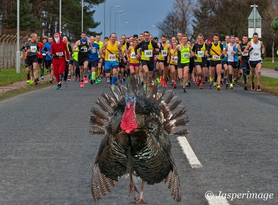 Moray Roadrunners Turkey Trot – Moray Firth Triathlon Club